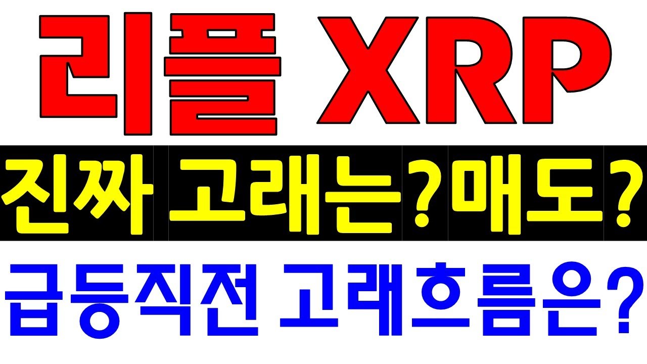 리플 Xrp 엑스알피 리플을 급등시킨 고래 급등직전 어떻게할까 여러분들 이것만 딱 보시면됩니다 엑스알피 리플코인 리플