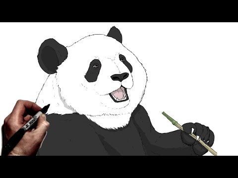 How To Draw A Panda | Step By Step |