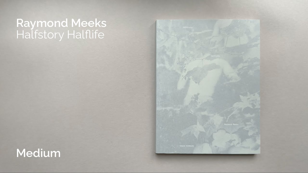 Raymond Meeks — Halfstory Halflife - YouTube