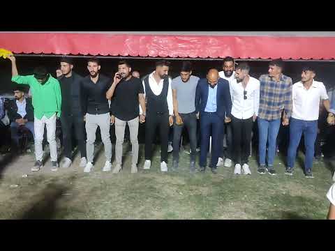 Diyadin düğünleri Diyadin gençlik Birgül müzik tulum #kürtçehalay #govendakurdi mrbeats @MrBeast 
