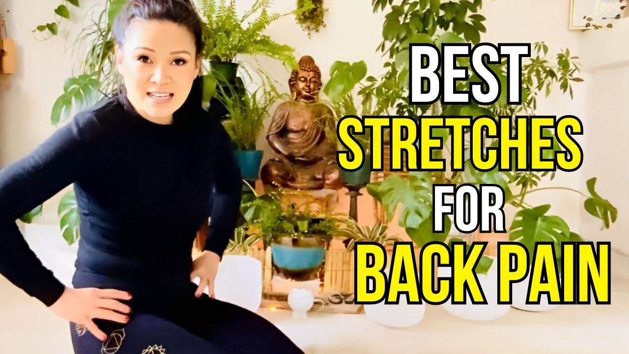 3 Best Stretches for Back Pain Relief and Hip Flexibility - YouTube