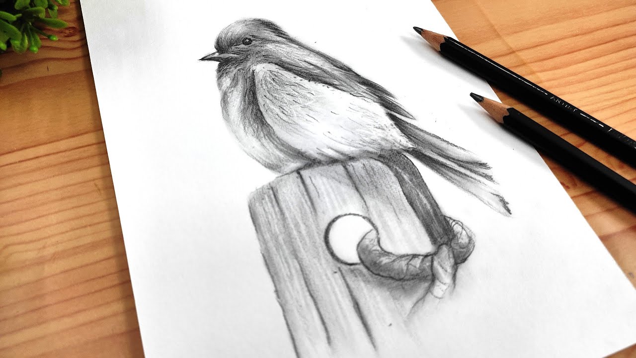 Easiest Pencil Sketch Drawing for Beginners step by step | Creative and ...
