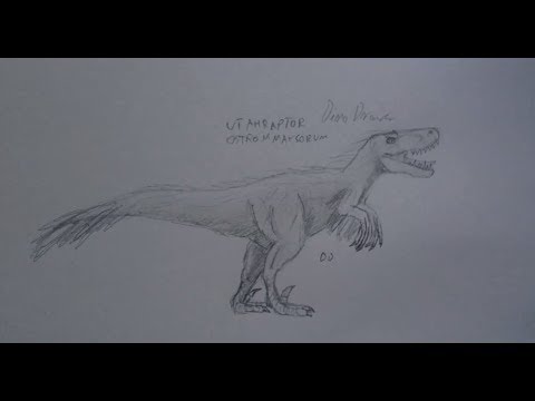 How to draw Utahraptor. Jak narysować utahraptora . - YouTube