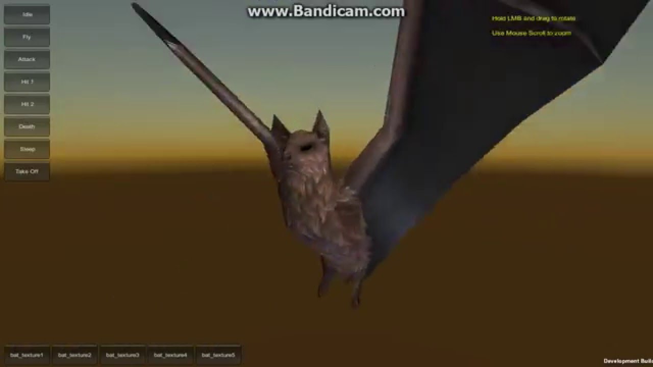 Animated Bats Pack - Demo - YouTube