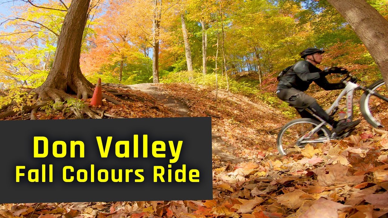 Don Valley - Fall Colours Ride - YouTube