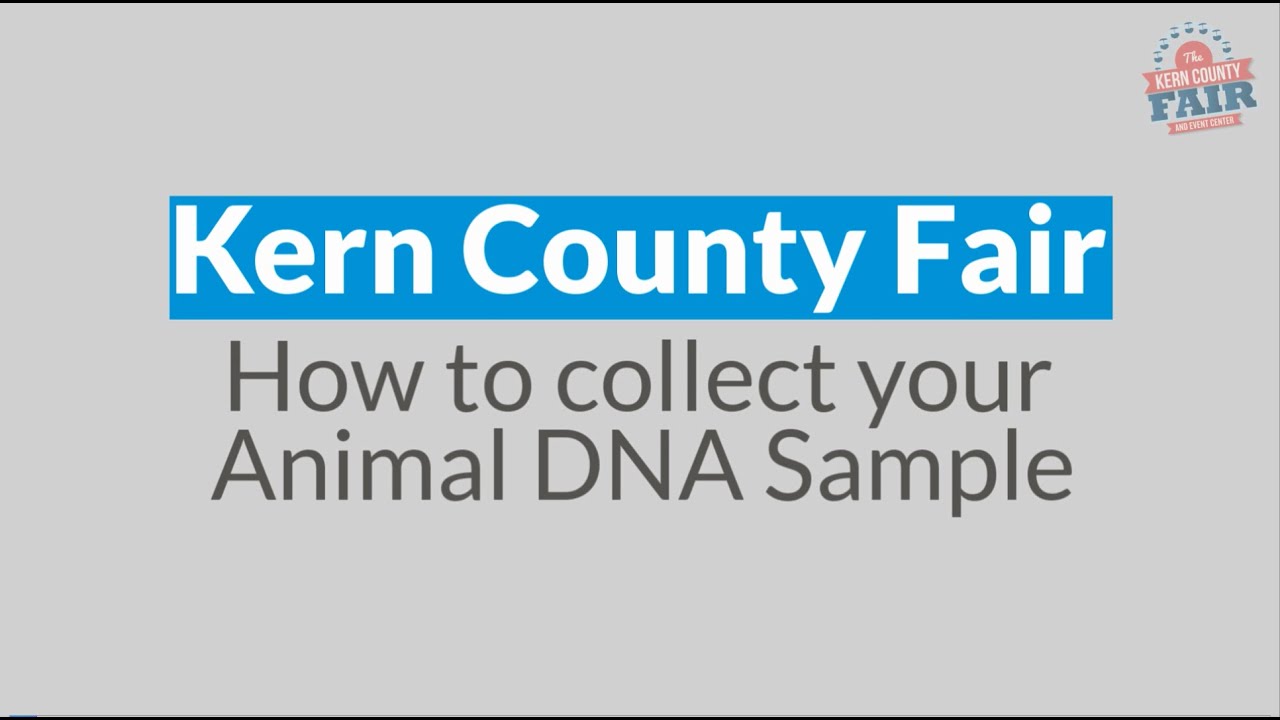 How to collect your animal DNA sample - YouTube