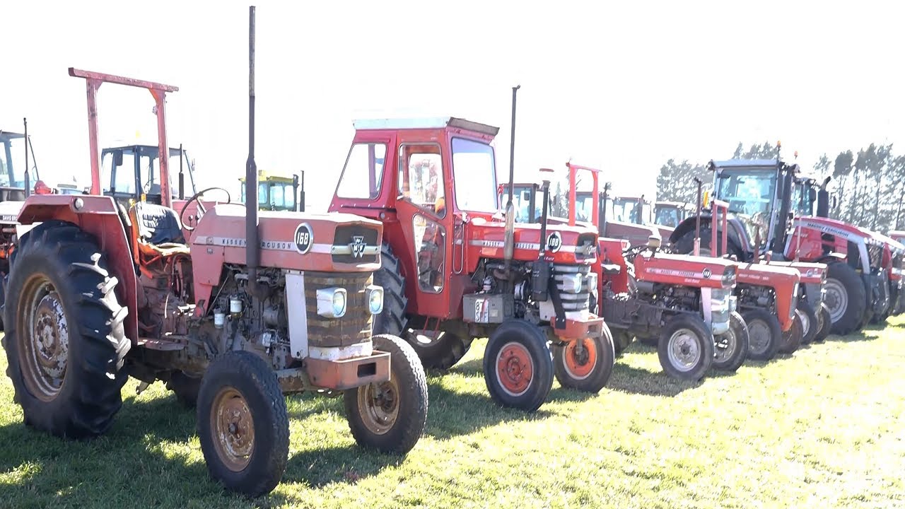 Massey Ferguson Tractor Collection at the 2024 Wheat and Wheels Rally ...