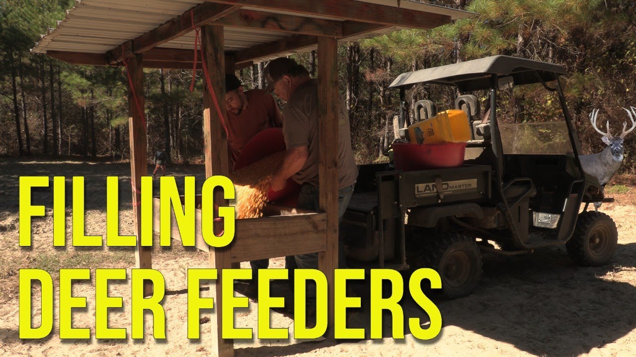 Come Fill Deer Feeders With Us! | 2023-2024 Deer Season - YouTube
