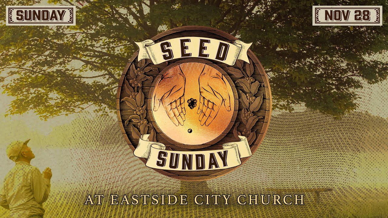 Seed Sunday is November 28th! - YouTube