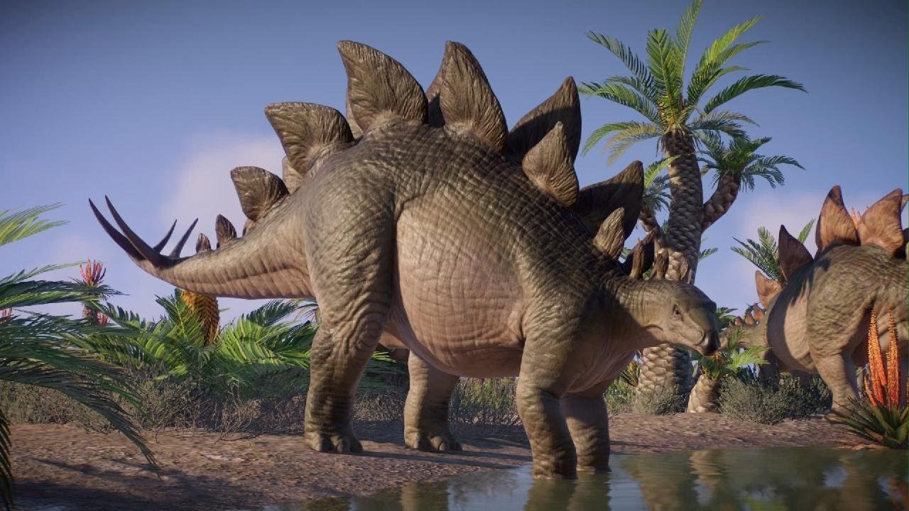 Jurassic World Evolution 2 Creature Showcase 8 (Stegosaurus) - YouTube