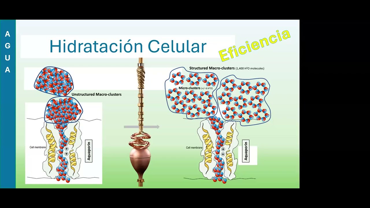 PiDogren con Reina Jiménez - YouTube
