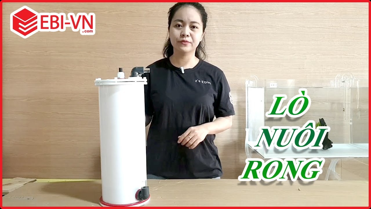 Giới thiệu về Lò Nuôi Rong cho hồ cá biển - EBI-VN - YouTube