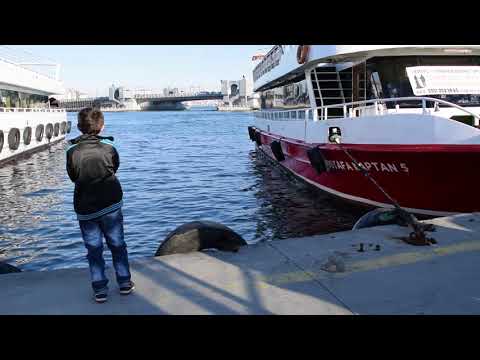 SENSİZ OLMAZ - KISA FİLM