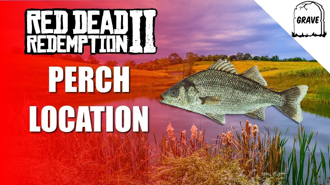 Perch Location Red Dead Online | Daily Challenge - YouTube