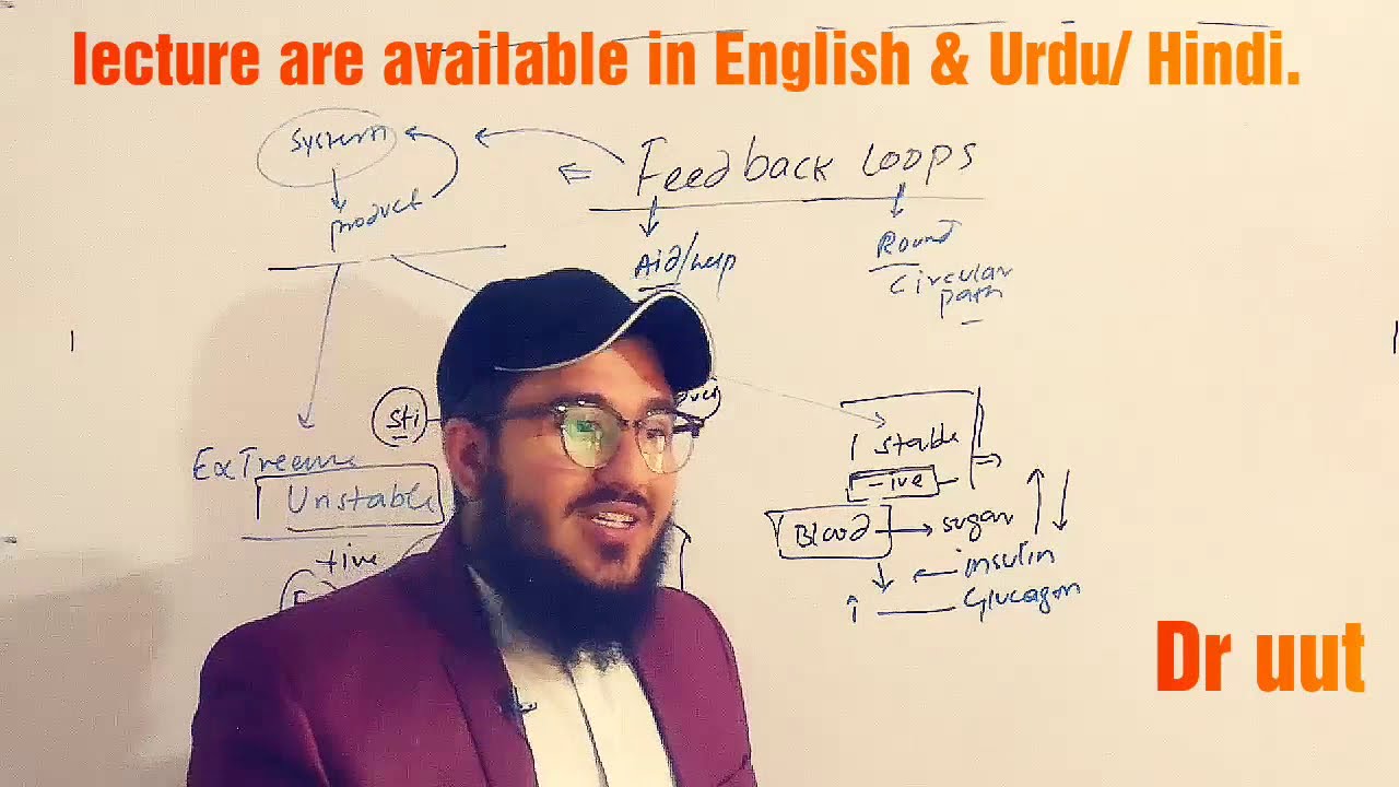 Feed back loops | positive feed back | negative feed back loops and ...