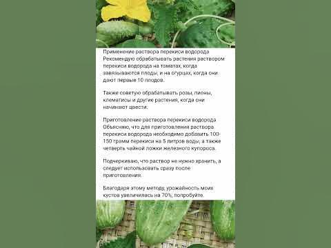Железные доказательства - огурцы обработанные перекисью водорода дают ...