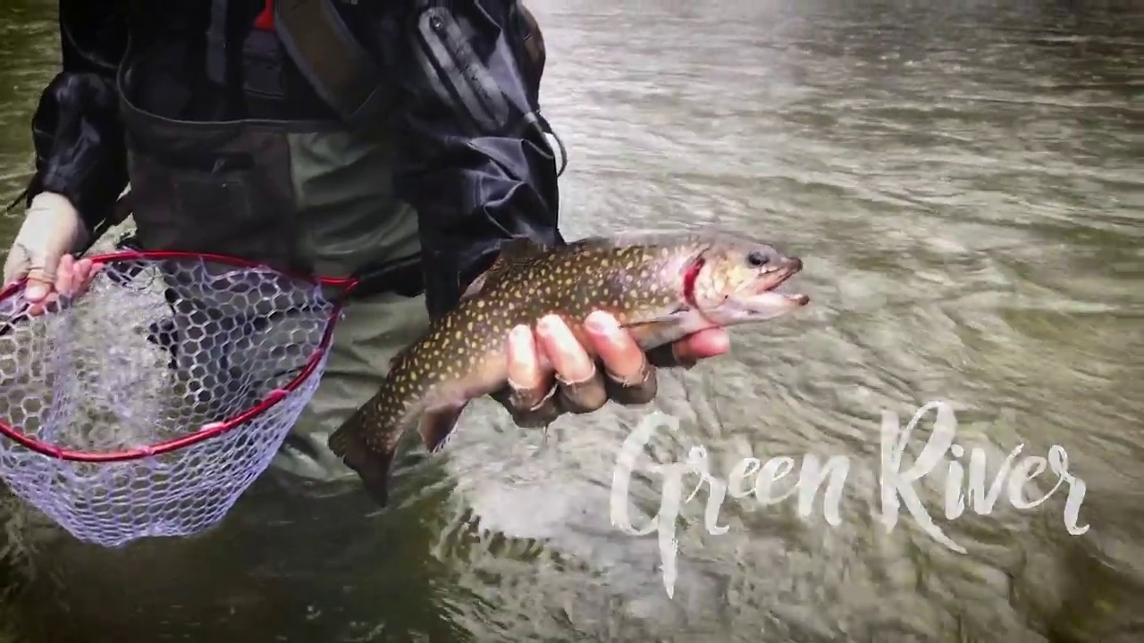 Green River Fishing Trip - YouTube
