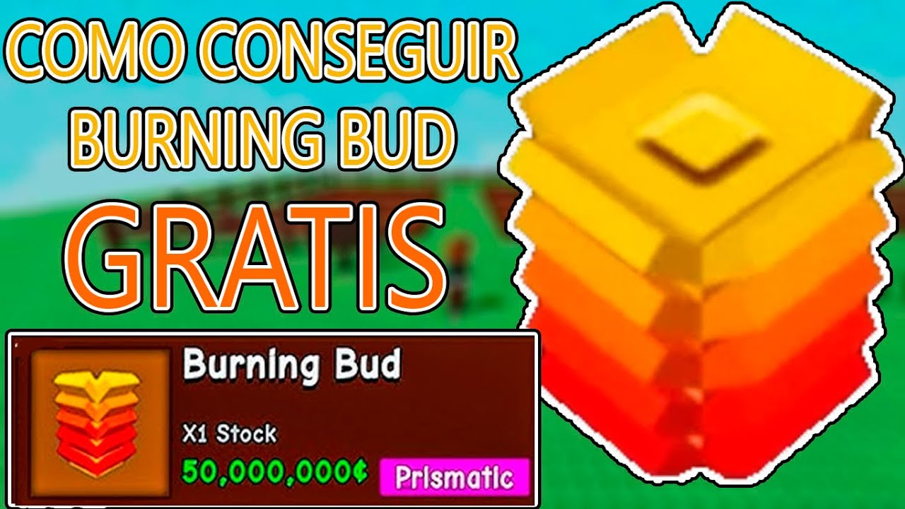 COMO CONSEGUIR BURNING BUD GRATIS EN GROW A GARDEN - ROBLOX GROW A ...