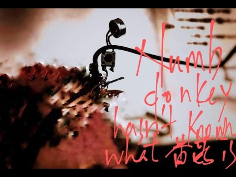 【Numb Donkey Hasn't Known What 香菇 Is】- 驢子抨擊團Fwc SQUADKUM Donkey FEAT ...