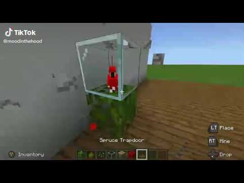 Parrot Cage in minecraft (minecraftturtorial) - YouTube