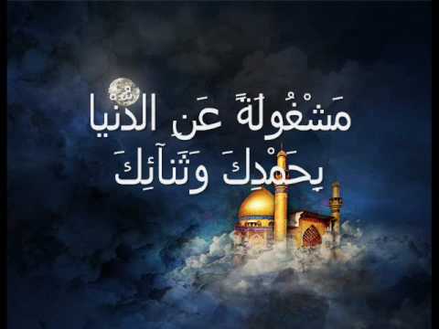 Ziarat imam Ali (as)  زيارة الإمام علي (ع) : زيارة أمين الله