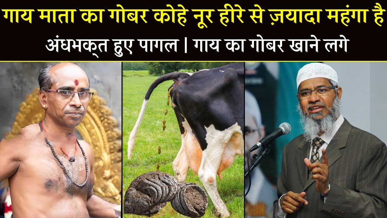 This Devotee's Desperate Actions Will Shock You! | Dr Zakir Naik 2023 ...