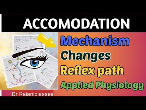 Accomodation of eye l Mechanism l Changes during Accomodation l Reflex ...