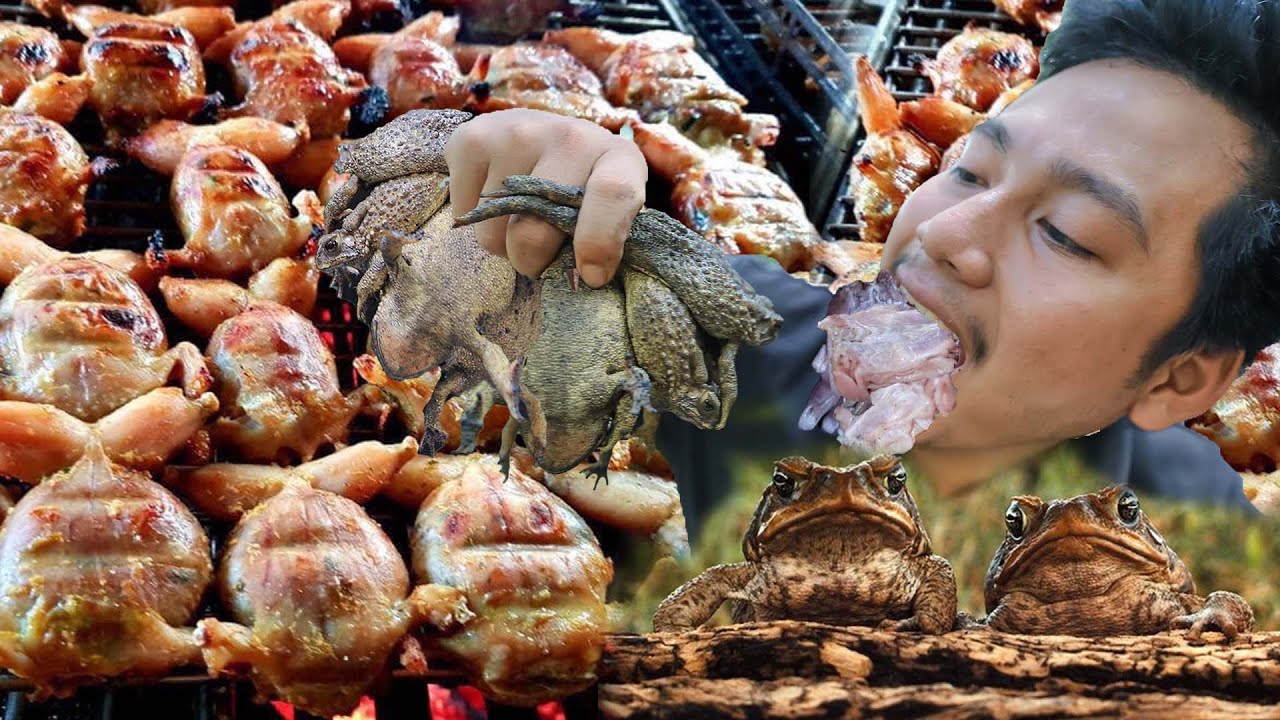 Catching toads cook for food, Grill toads with lemongrass, tamarind and ...