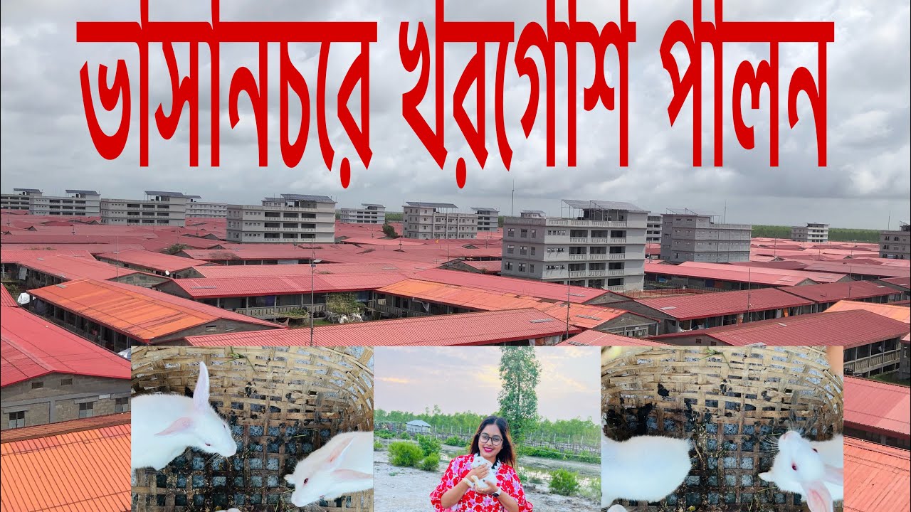 Rohingya Camp 🏕 Bhasanchar খরগোশ -ACLAB॥Tune of Life ॥ - YouTube