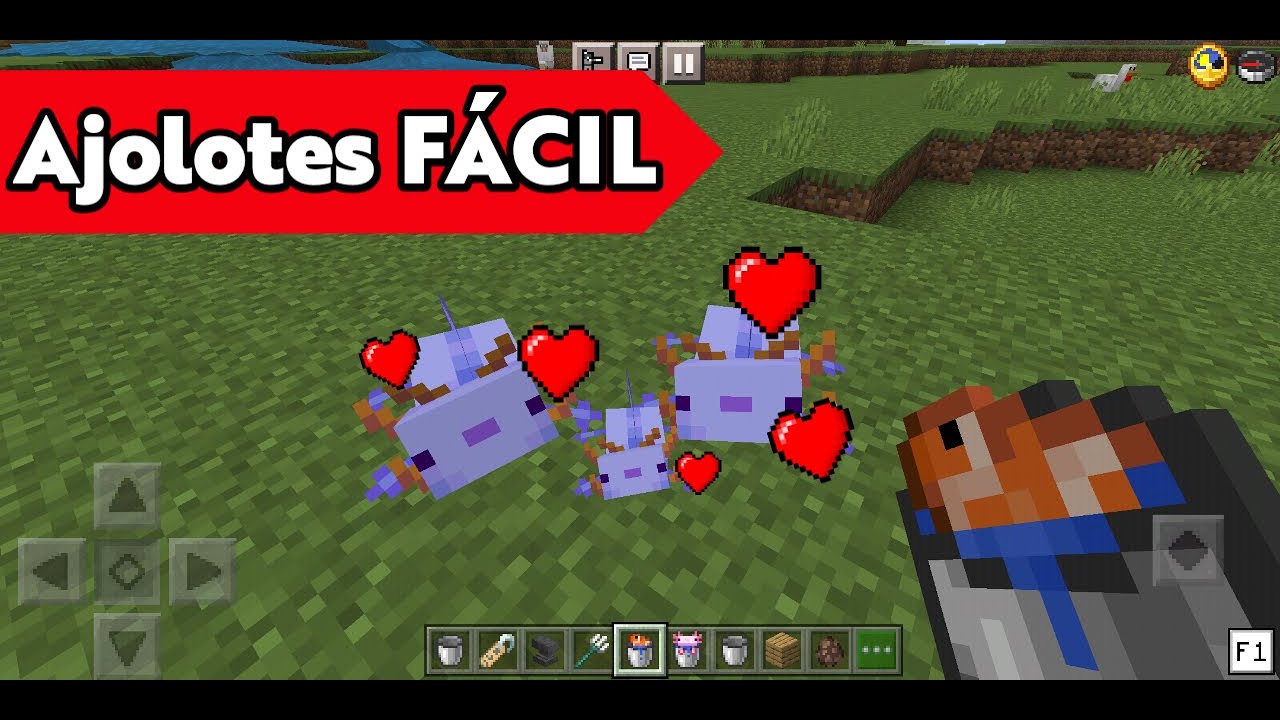 ASI PUEDES CONSEGUIR EL AJOLOTE AZUL EN MINECRAFT PE Como conseguir el ...