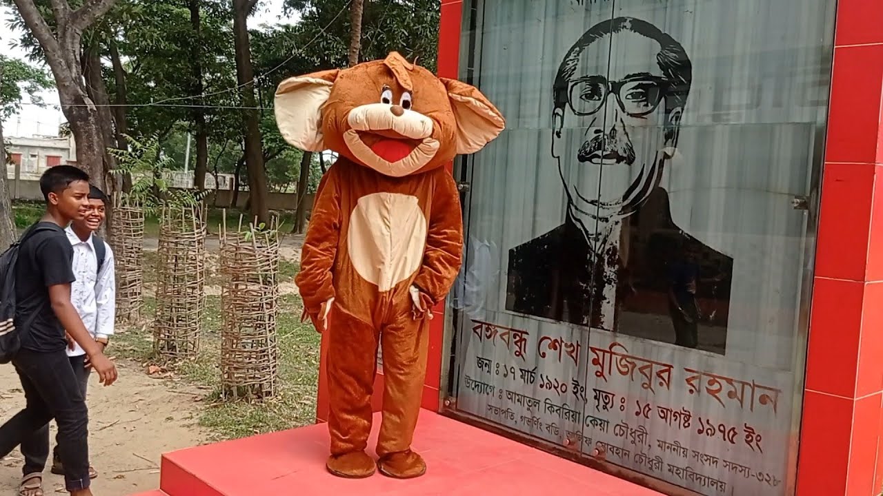 comedy video Teddy comedy video amazing Funny video Teddy ...