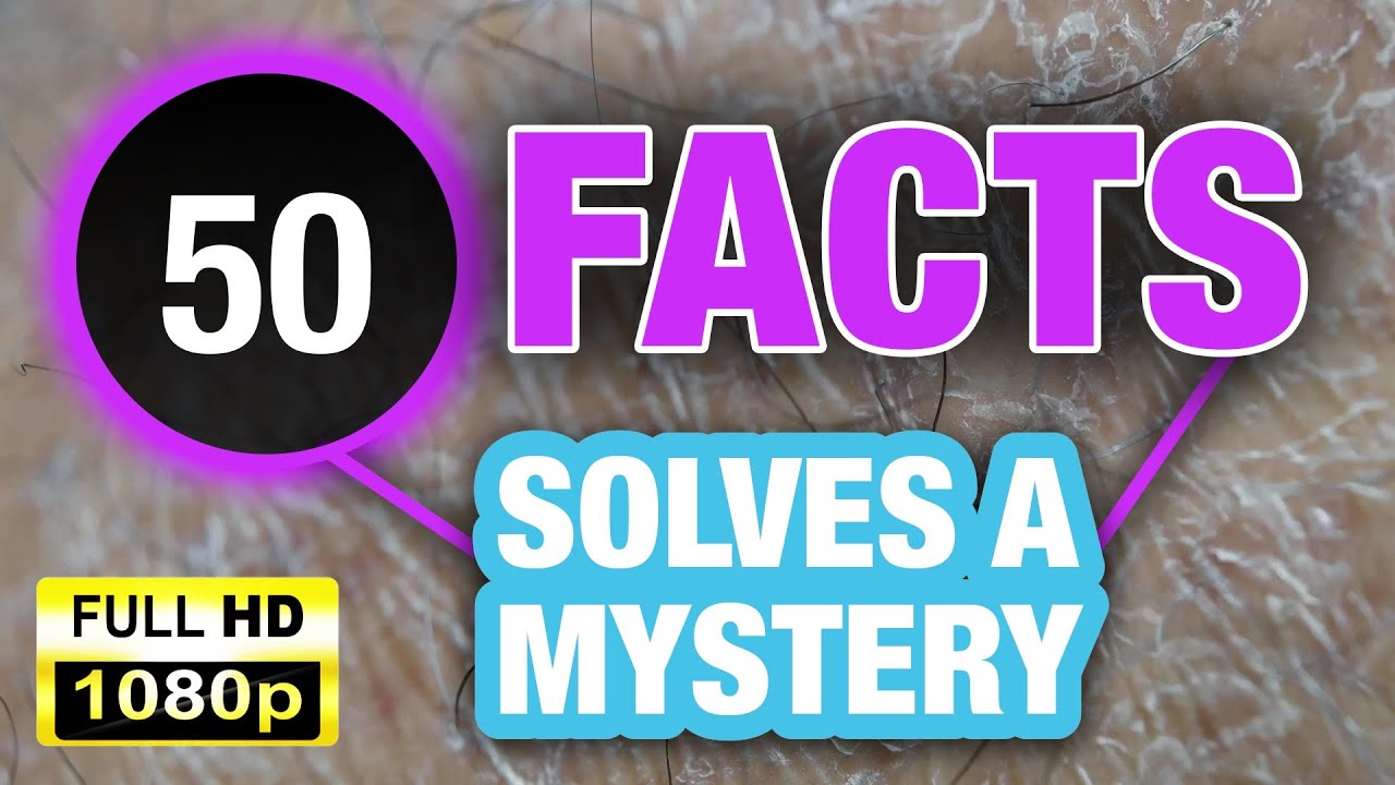 50 Mind Blowing Random Facts You Can't Miss - YouTube
