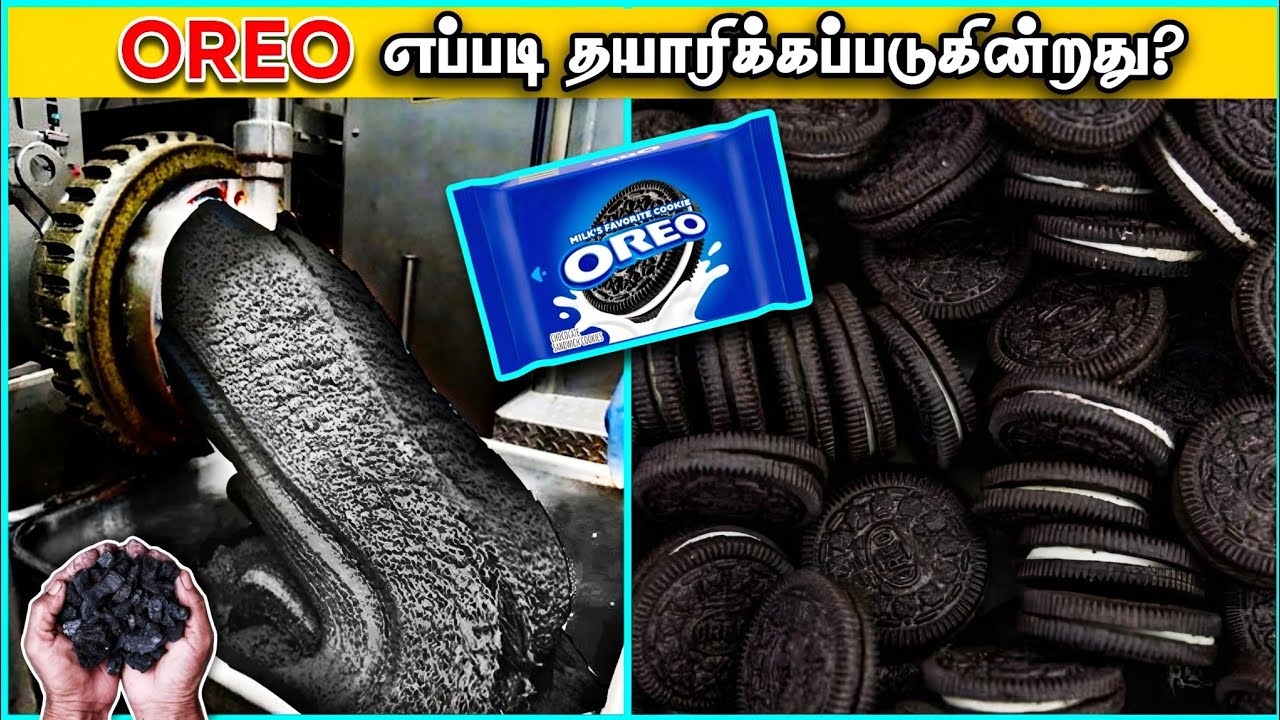 How They Made Oreo in தமிழ் | Amazing Factories | The Magnet Facts ...