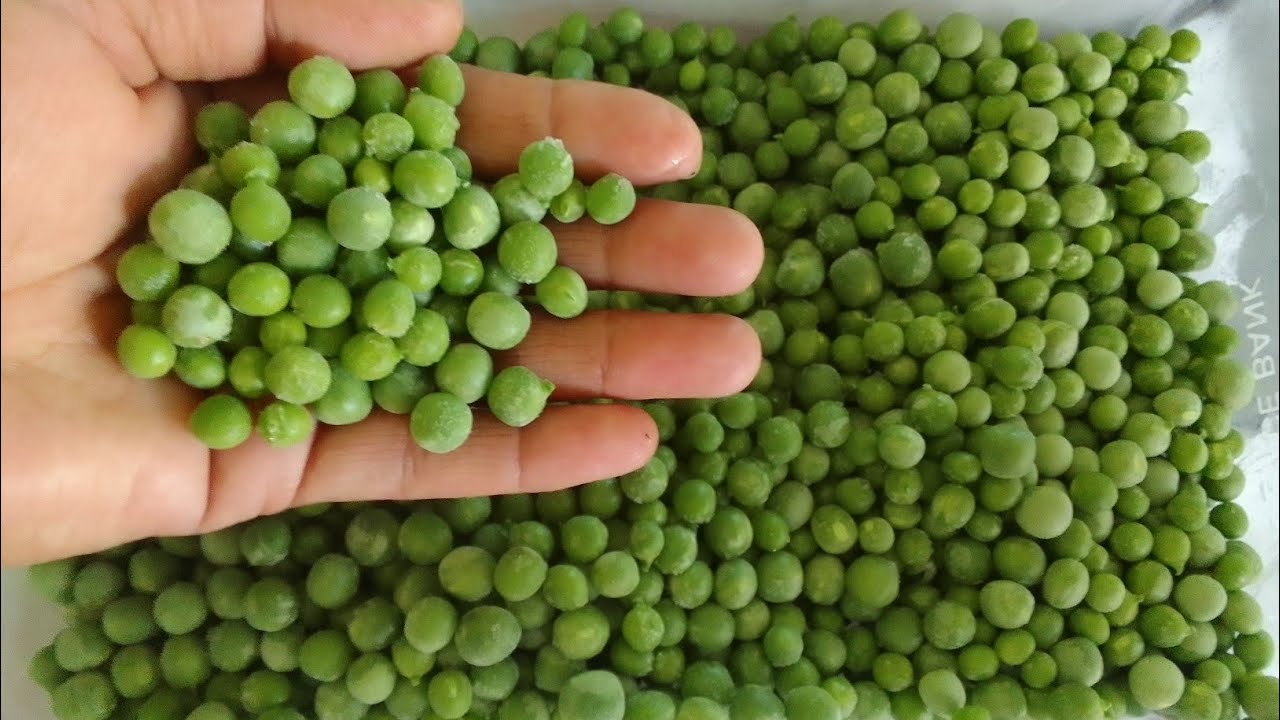 How to store peas for long time | मटर कैसे स्टोर करें ...