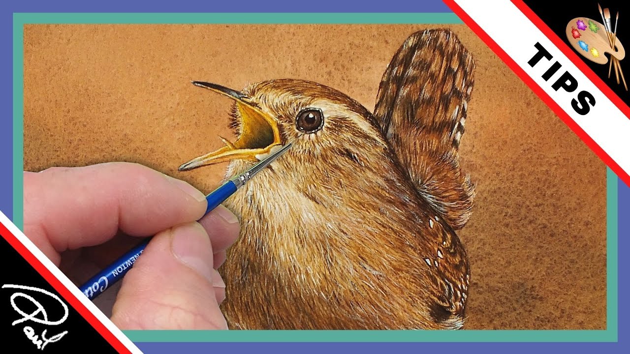 Watercolour Painting Lesson- How to paint a birds eye - YouTube