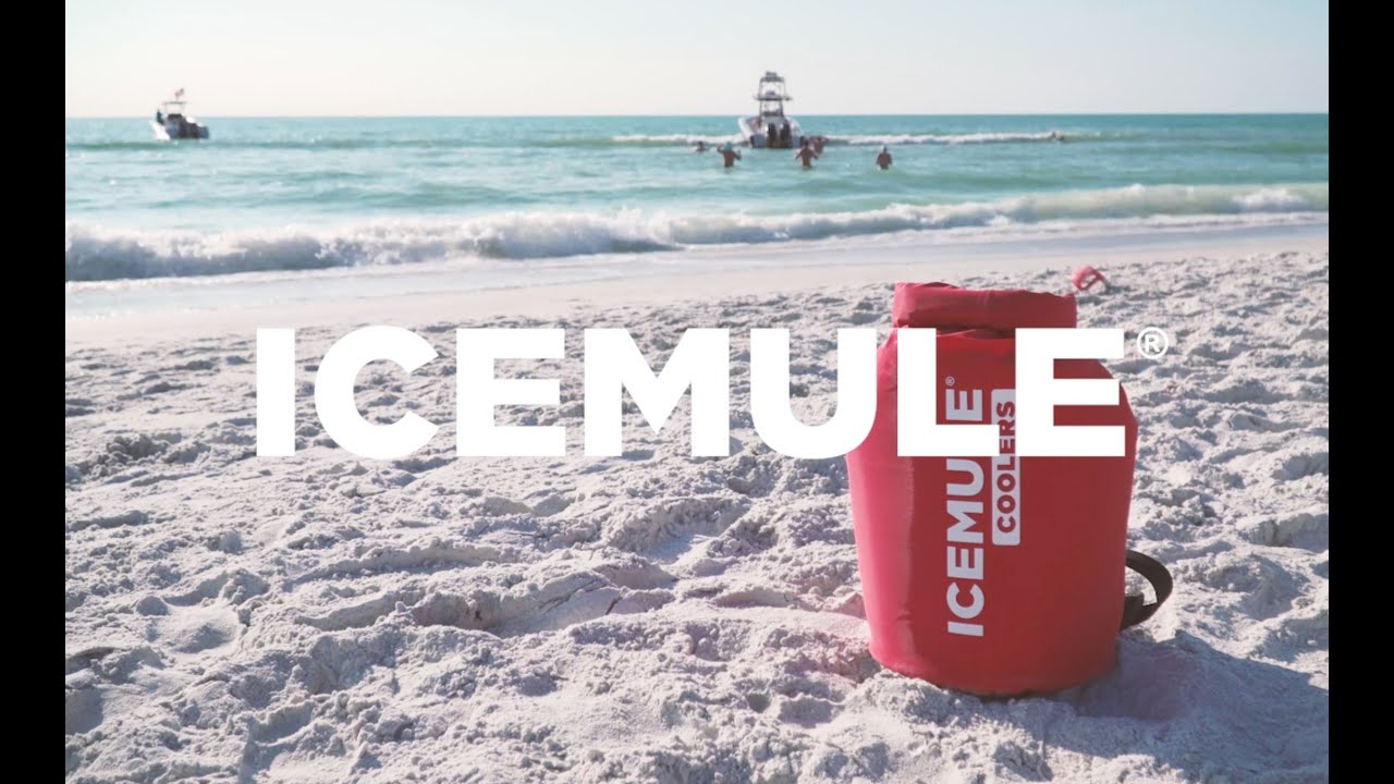 ICEMULE Brand Video - YouTube