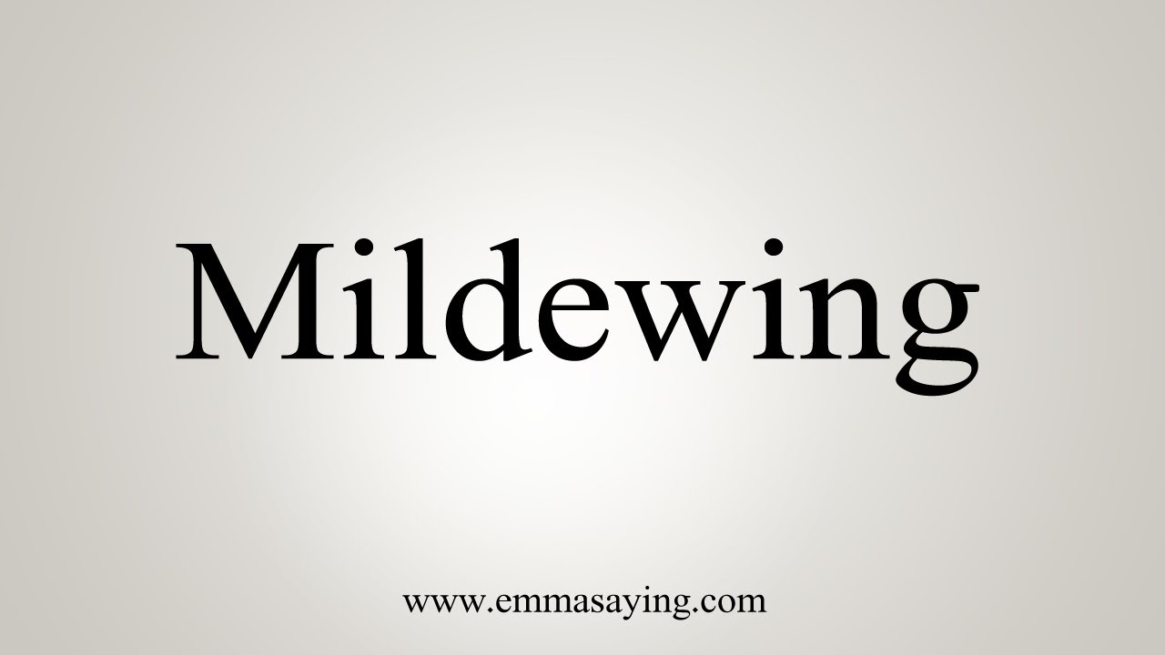 How To Say Mildewing - YouTube