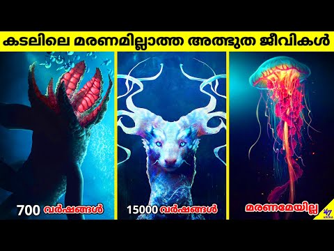 Longest Living Animals On Earth | Amazing Ocean Animals | Facts Malayalam | 47 ARENA