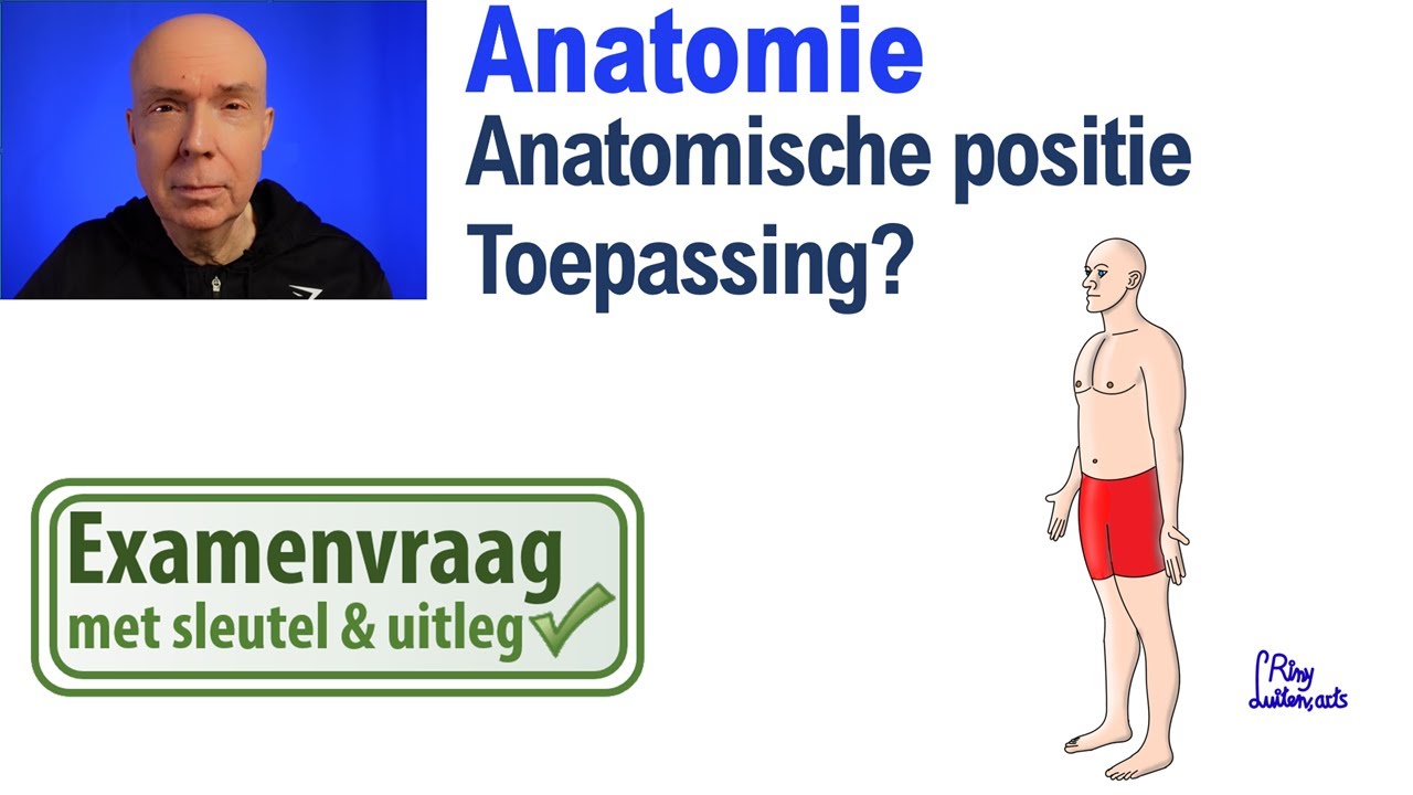 Anatomische Positie: Toepassing (Anatomie) - YouTube