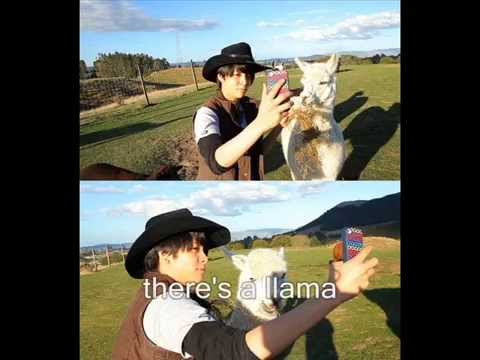 f(x) Amber - Llama Song