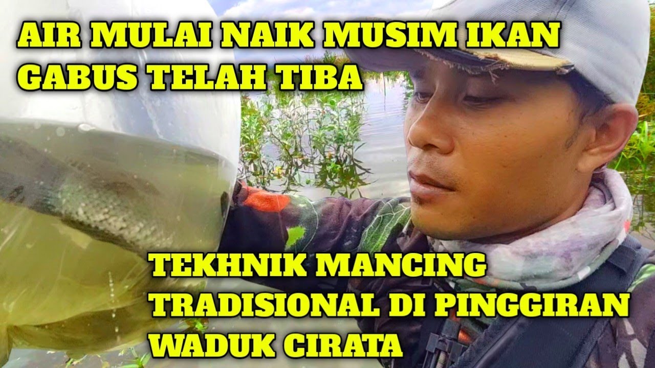 MANCING CIRATA #53.MANCING TRADISIONAL IKAN GABUS HASILNYA MEMUASKAN ...