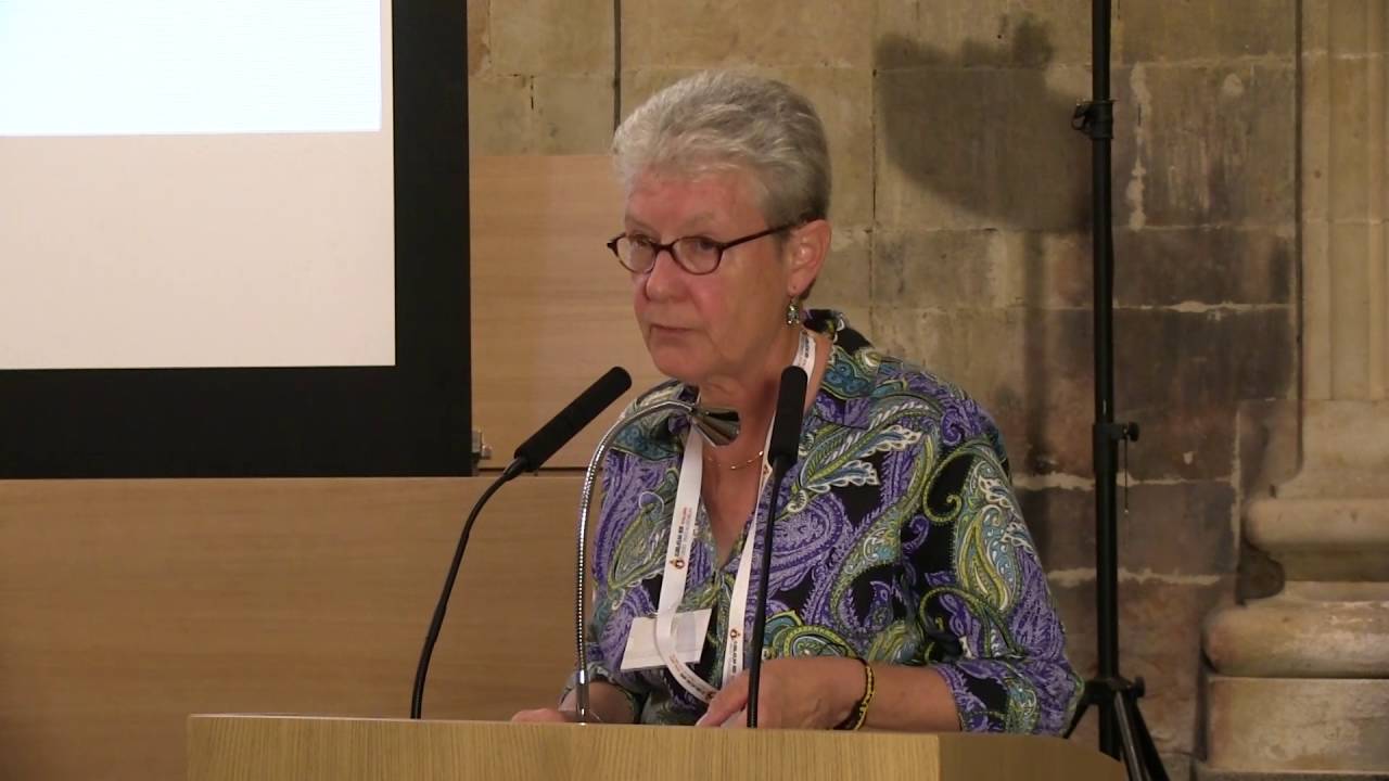 To what extent are Dominicans addressing these challenges? (Margaret ...