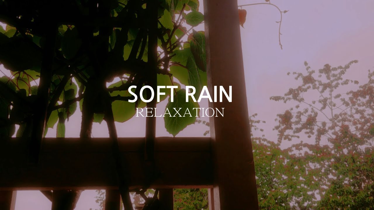 Soft & Gentle Rain Sounds for Relaxation - YouTube