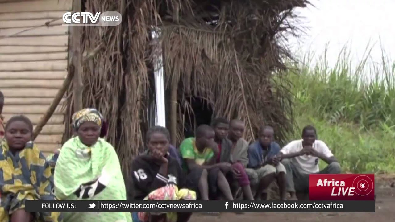 Congo pygmies fight for their rights - YouTube