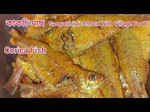 @মুচমুচে কাচকি মাছ এইভাবে ভাজলে ভাত নিমিষেই শেষ হয়ে যাবে #Corica Fish ...