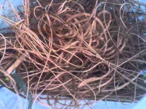 Plastik hurdası İstanbul Kağıt hurdası alan hurdacılar hurda firmaları 0538 568 25 48