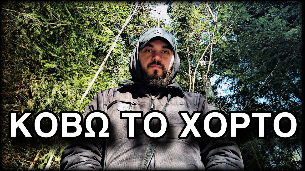 ΟΙ ΛΟΓΟΙ ΠΟΥ ΕΚΟΨΑ ΤΟ ΧΟΡΤ0!!!!!!! - YouTube