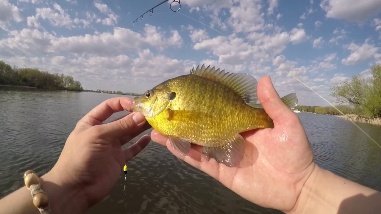 Panfishing Southern Minnesota - YouTube