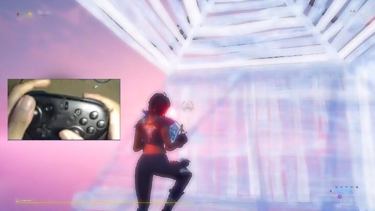 Nintendo Switch Fortnite Handcam Pro Controller 🎮 - YouTube