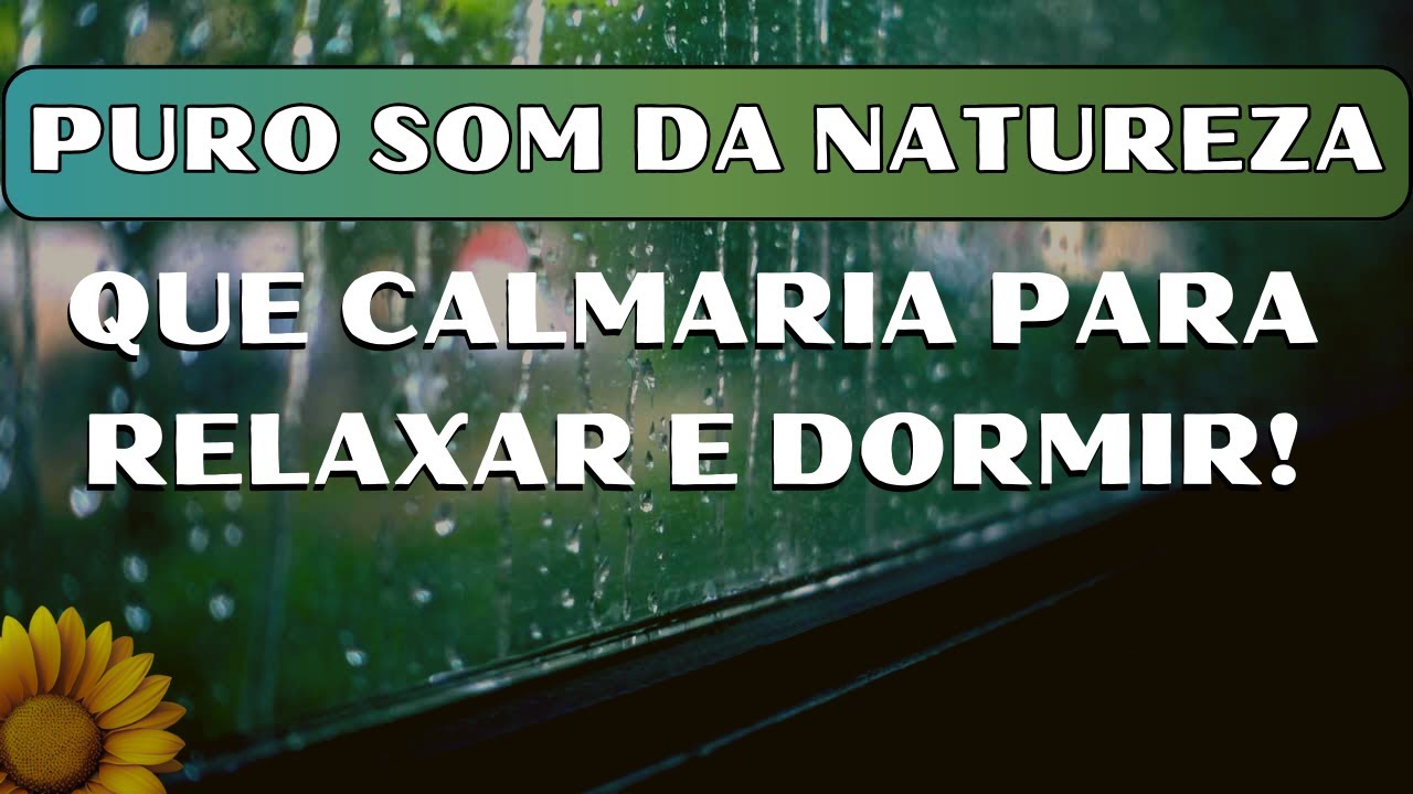 Que CALMARIA para RELAXAR e DORMIR! CHUVA com TROVOADAS Tranquilas. 8h ...